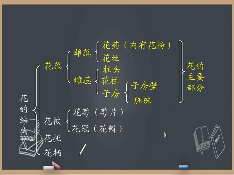 苏教版八年级下册第二节 植物的有性生殖优质课课件ppt 教习网课件下载