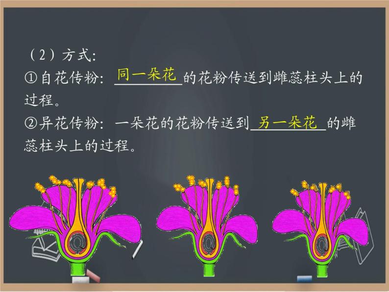 苏教版八年级下册第二节 植物的有性生殖优质课课件ppt 教习网课件下载