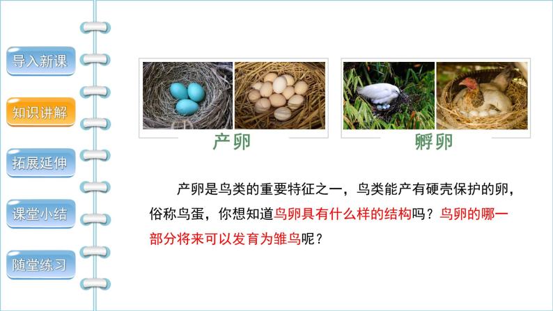 初中人教版 新课标第四节 鸟的生殖和发育授课课件ppt 教习网课件下载