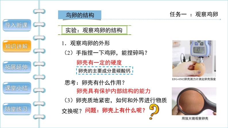 初中人教版 新课标第四节 鸟的生殖和发育授课课件ppt 教习网课件下载