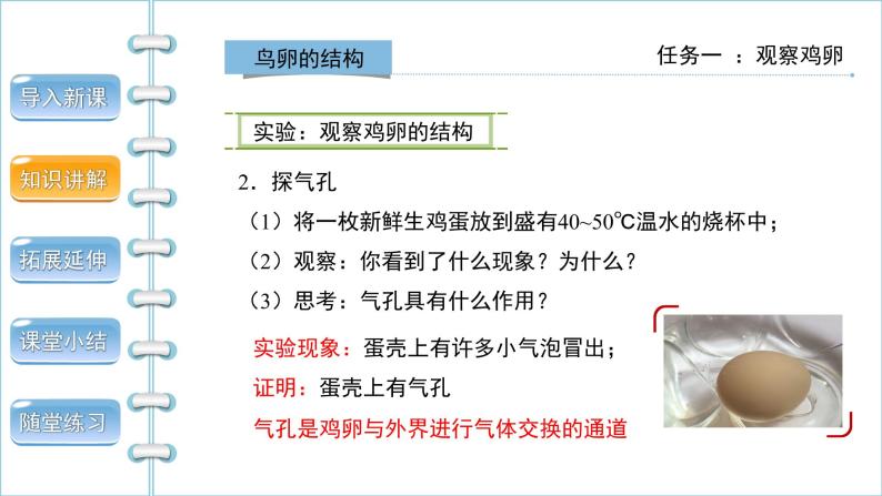 初中人教版 新课标第四节 鸟的生殖和发育授课课件ppt 教习网课件下载