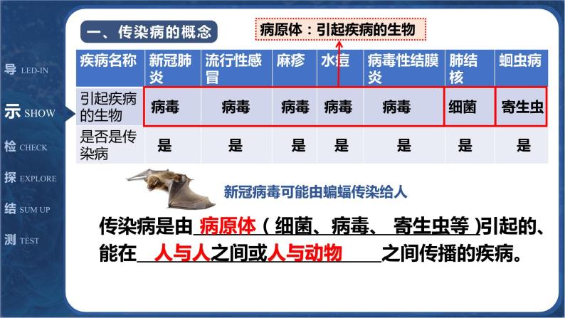 81传染病及其预防 【高效备课】2022 2023学年八年级生物下册同步备课优质课件（人教版） 教习网课件下载