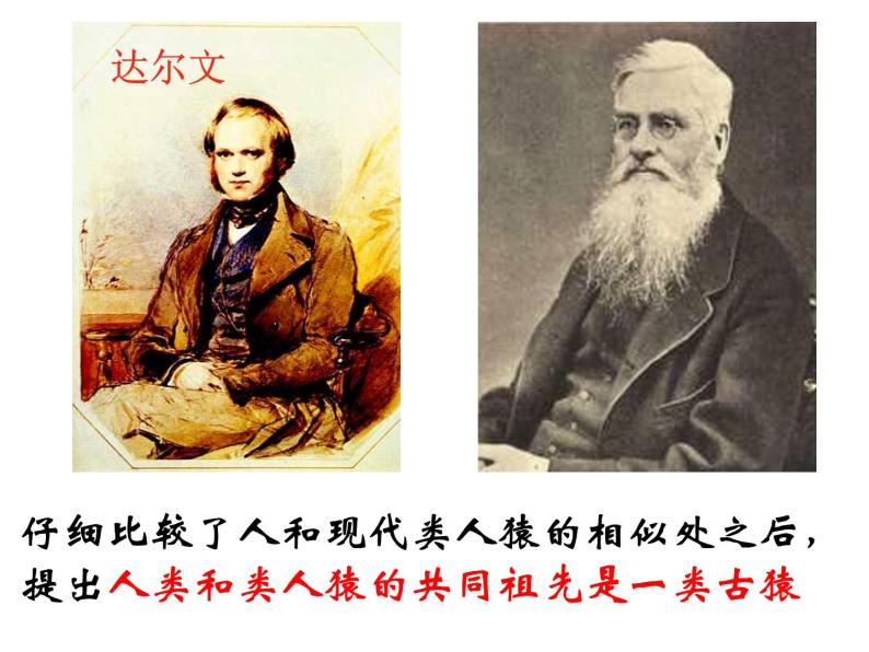 初中生物人教版 新课标七年级下册第一节 人的起源和发展课文配套课件ppt 教习网课件下载