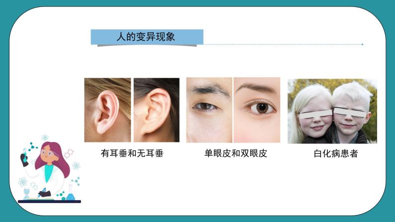 人教版 新课标八年级下册第五节 生物的变异精品课件ppt 教习网课件下载