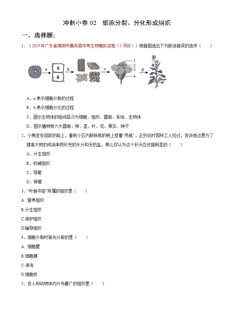 初中生物中考复习 冲刺小卷02 细胞分裂、分化形成组织 2020年《三步冲刺中考·生物》之最新模考分类冲刺小卷人教通用版（原卷版） 教习网