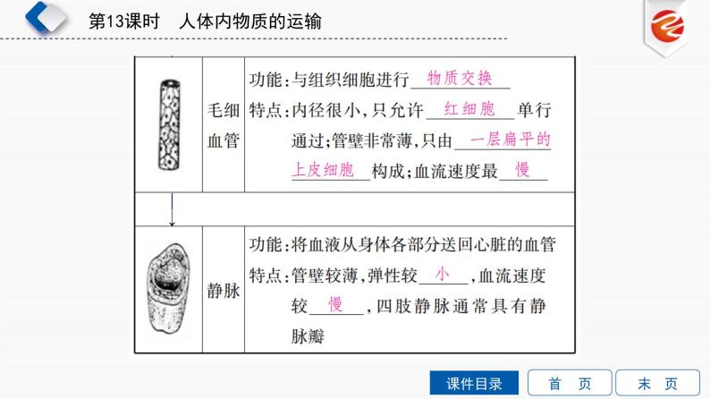 初中生物中考复习 第13单元 人体内物质的运输课件ppt 教习网课件下载