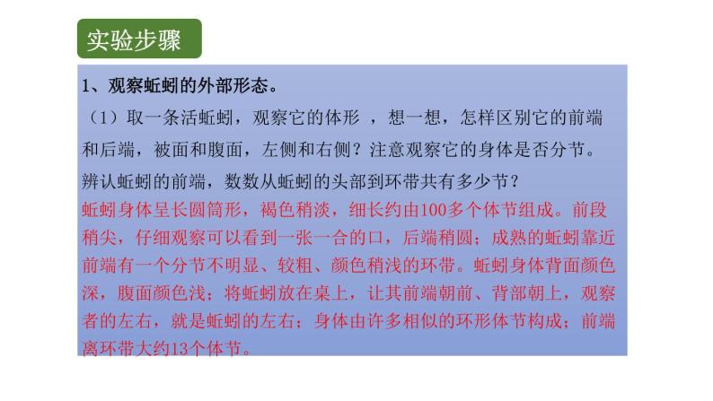 初中生物中考复习 初中生物实验突破（通用版）：观察蚯蚓课件 教习网课件下载