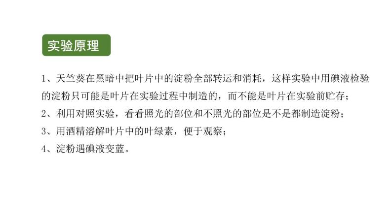 初中生物中考复习 初中生物实验突破（通用版）：绿叶在光下制造有机物课件 教习网课件下载