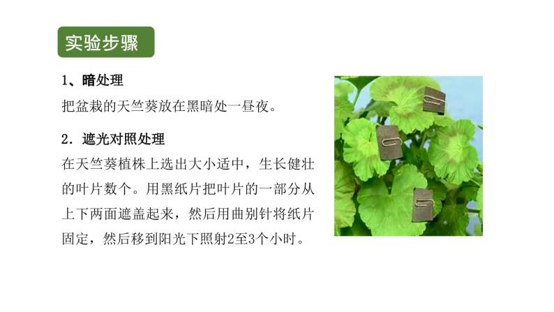 初中生物中考复习 初中生物实验突破（通用版）：绿叶在光下制造有机物课件 教习网课件下载