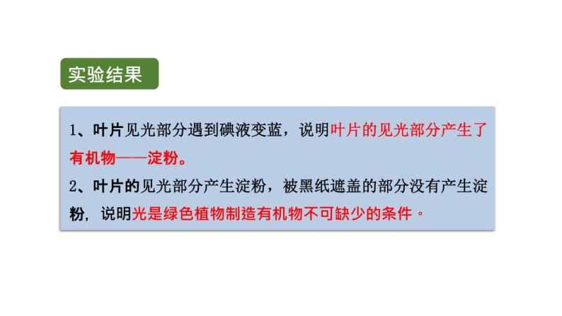 初中生物中考复习 初中生物实验突破（通用版）：绿叶在光下制造有机物课件 教习网课件下载