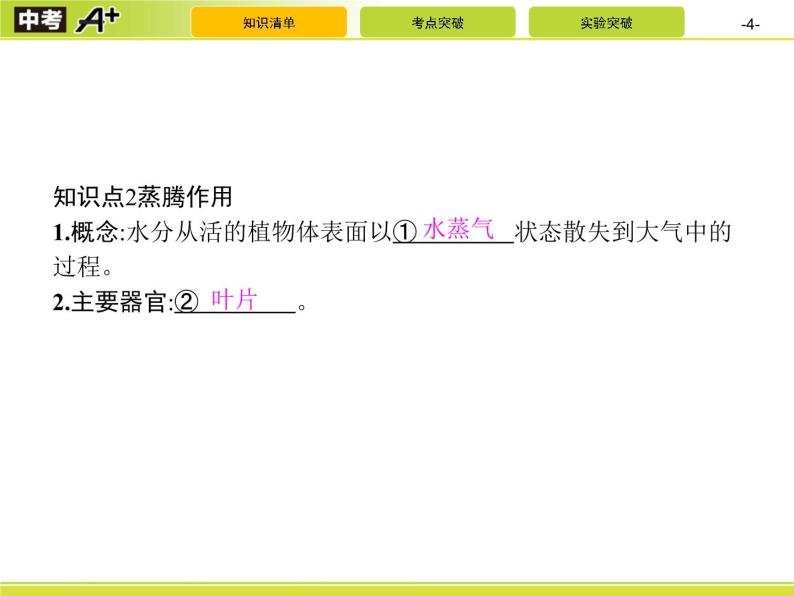 初中生物中考复习 第3讲 绿色植物与生物圈的水循环课件ppt 教习网课件下载