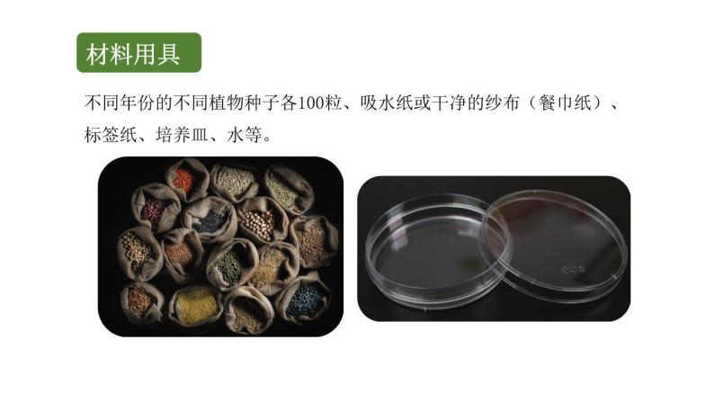 初中生物中考复习 初中生物实验突破(通用版):测定种子的发芽率课件 教习网课件下载