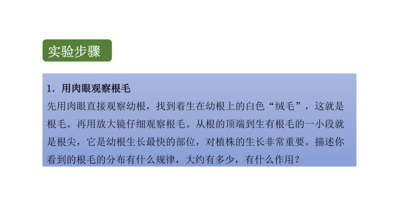 初中生物中考复习 初中生物实验突破（通用版）：观察根毛和根尖的结构课件 教习网试卷下载