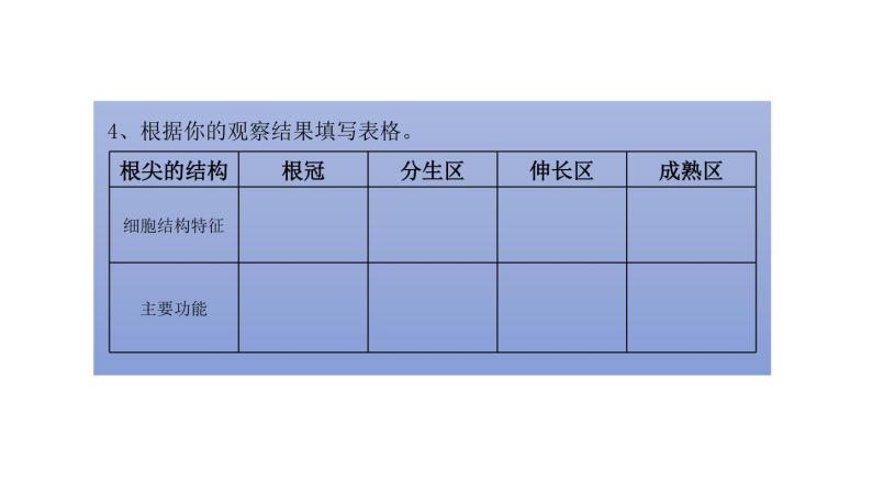 初中生物中考复习 初中生物实验突破（通用版）：观察根毛和根尖的结构课件 教习网试卷下载