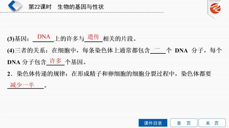 初中生物中考复习 第22单元 生物的基因与性状课件ppt 教习网课件下载