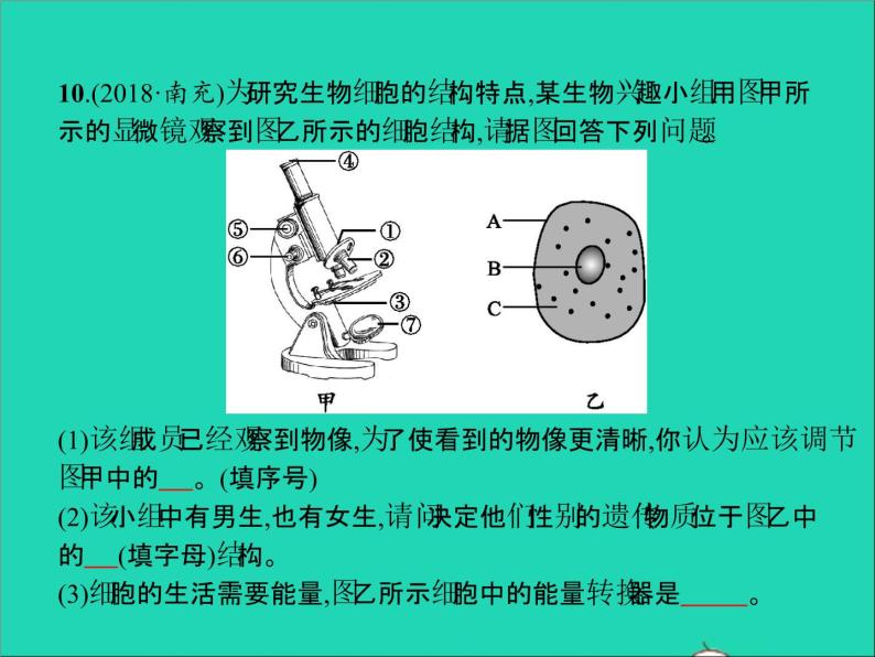 初中生物中考复习 中考生物总复习专题二生物体的结构层次课件 教习网试卷下载