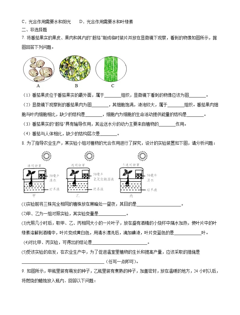 初中生物中考复习 专题04 绿色植物的蒸腾作用、光合作用和呼吸作用 2020年中考生物挑战压轴题(原卷版) 教习网试卷下载
