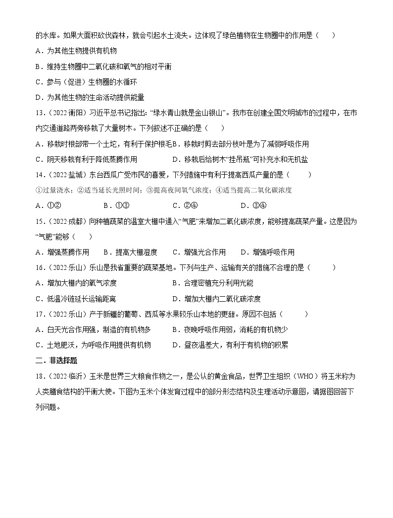 初中生物中考复习 专题04 绿色植物的蒸腾作用、光合作用和呼吸作用 2022年中考生物真题分项汇编 (全国通用)(原卷版) 教习网试卷下载