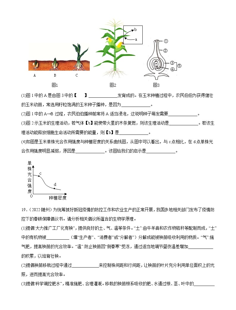 初中生物中考复习 专题04 绿色植物的蒸腾作用、光合作用和呼吸作用 2022年中考生物真题分项汇编 （全国通用）（原卷版） 教习网试卷下载