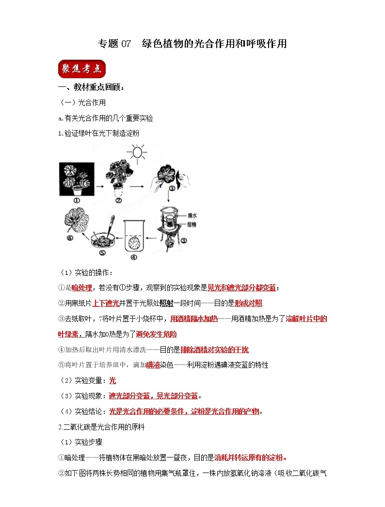 初中生物中考复习 专题07 绿色植物的光合作用和呼吸作用（解析版） 教习网试卷下载