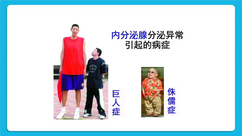 初中生物人教版 新课标七年级下册第四节 激素调节精品课件ppt 教习网课件下载