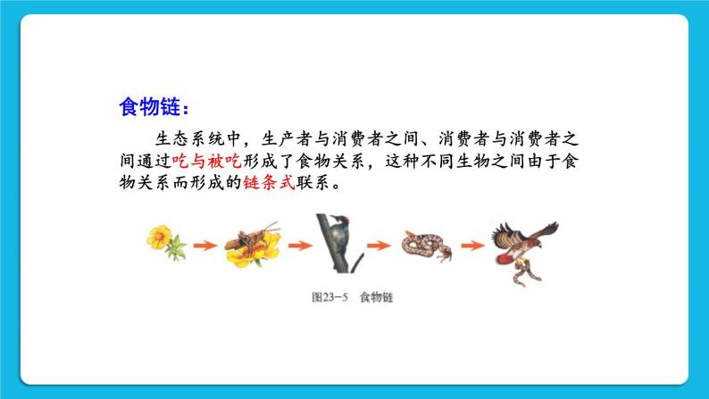 北师大版第3节 生态系统的结构和功能完美版课件ppt 教习网课件下载