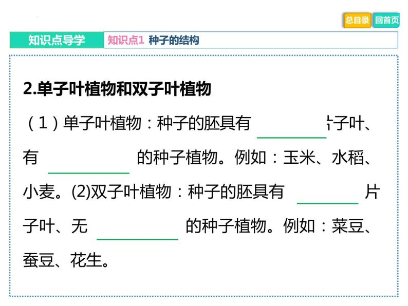 初中生物中考复习 专题03 绿色开花植物的一生 冲刺2022年中考生物重点难点热点突破精讲课件 教习网课件下载