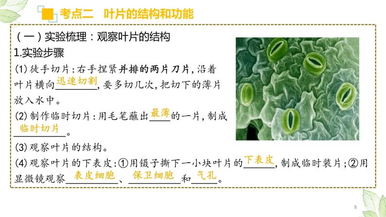 初中生物中考复习 专题06 绿色植物与生物圈的水循环(上课用课件) 【过一轮】2022年中考生物一轮复习课件精讲与习题精练 教习网课件下载