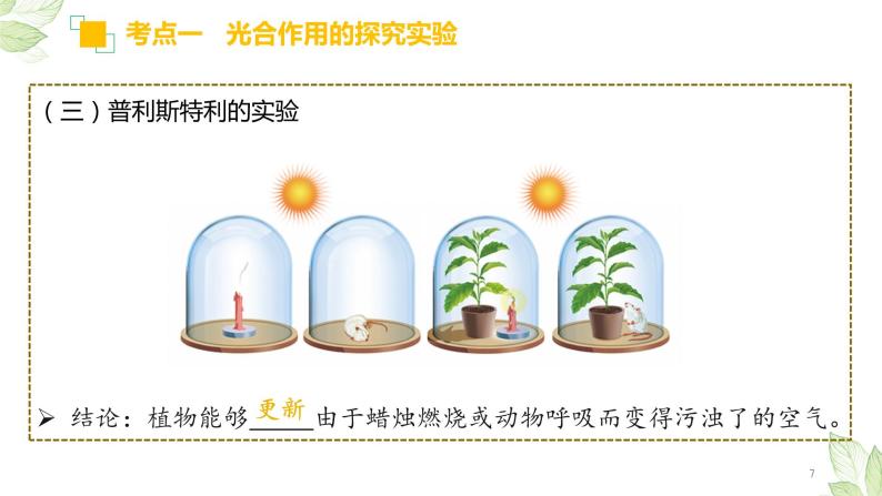 初中生物中考复习 专题07 绿色植物的光合作用（上课用课件） 【过一轮】2022年中考生物一轮复习课件精讲与习题精练 教习网课件下载
