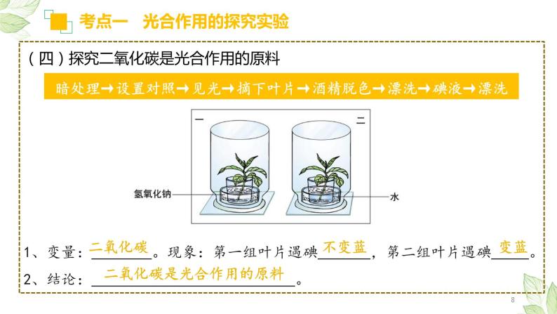 初中生物中考复习 专题07 绿色植物的光合作用（上课用课件） 【过一轮】2022年中考生物一轮复习课件精讲与习题精练 教习网课件下载
