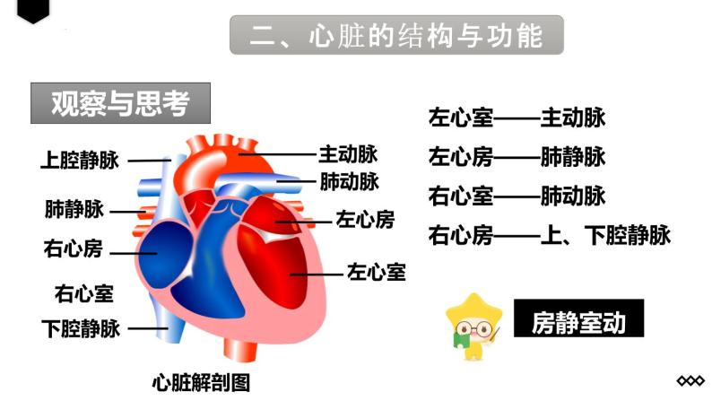 初中生物人教版 新课标七年级下册第四单元 生物圈中的人第四章 人体内物质的运输第三节 输送血液的泵──心脏一等奖ppt课件 教习网课件下载