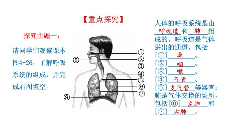 人教版 新课标七年级下册第一节 呼吸道对空气的处理课文配套课件ppt 教习网课件下载