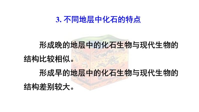 初中生物人教版 新课标八年级下册第二节 生物进化的历程说课ppt课件 教习网课件下载