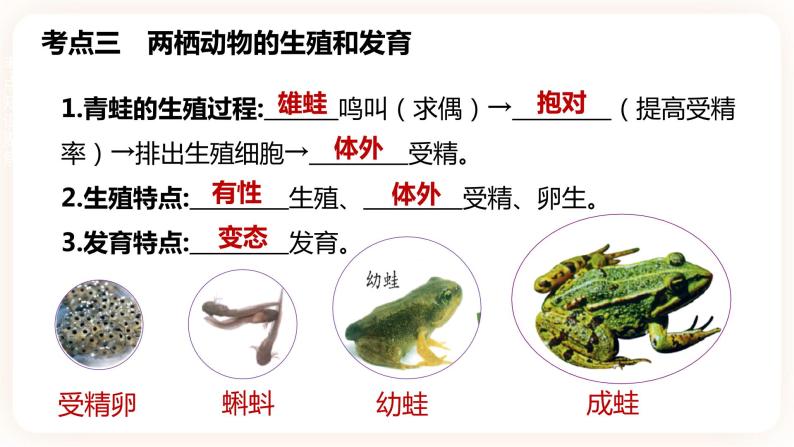 【中考一轮复习】新课标中考生物人教版课件：专题16《生物的生殖和发育》 教习网课件下载