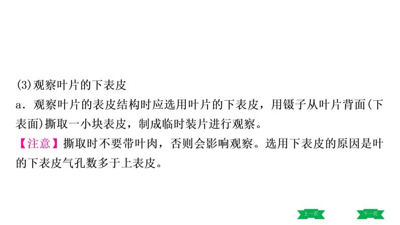 中考生物总复习课件3第三章 绿色植物与生物圈的水循环 教习网课件下载