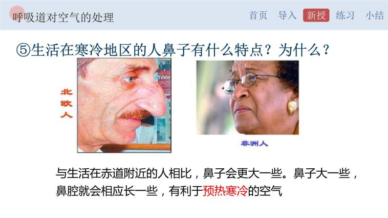 人教版 新课标七年级下册第一节 呼吸道对空气的处理试讲课备课ppt课件 教习网课件下载