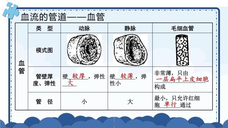 第四单元第4章人体内物质的运输(复习课件) 教习网课件下载