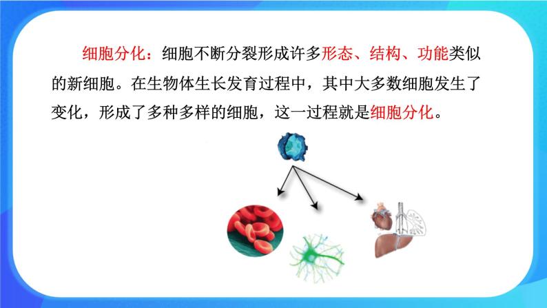 初中生物北师大版七年级上册第1节 细胞分化形成组织精品ppt课件 教习网课件下载