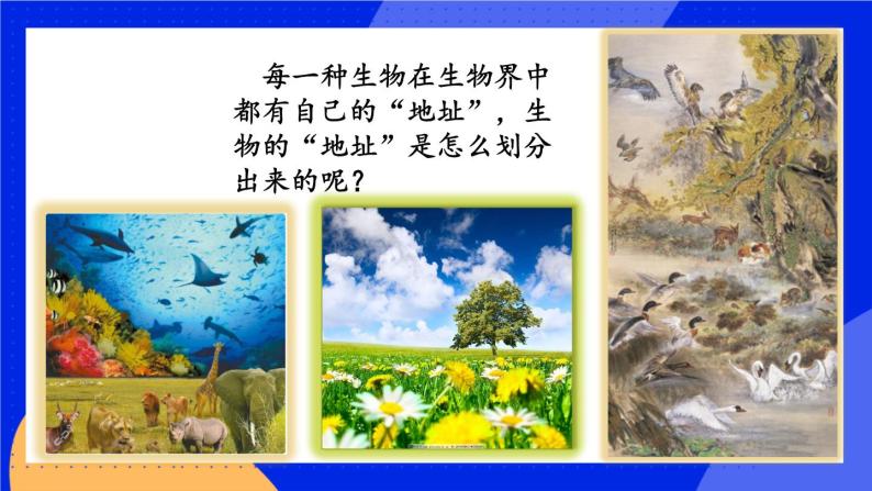 八年级上册第二节 从种到界完美版课件ppt 教习网课件下载