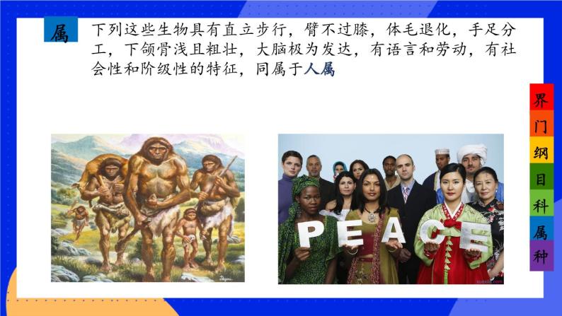 八年级上册第二节 从种到界完美版课件ppt 教习网课件下载