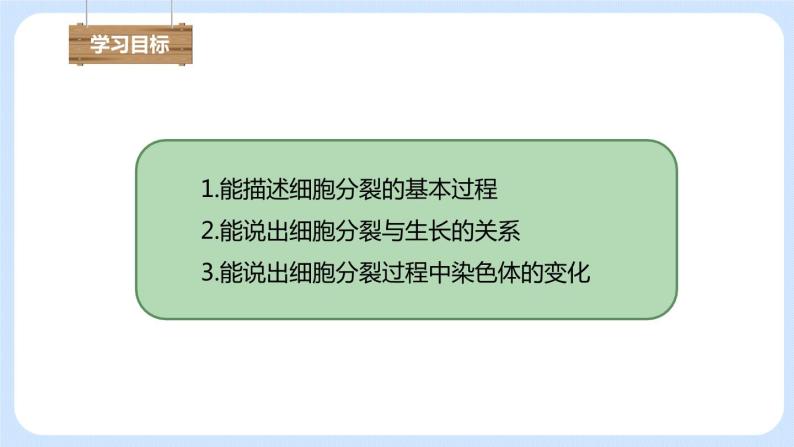 初中第一节 细胞通过分裂产生新细胞评优课课件ppt 教习网课件下载