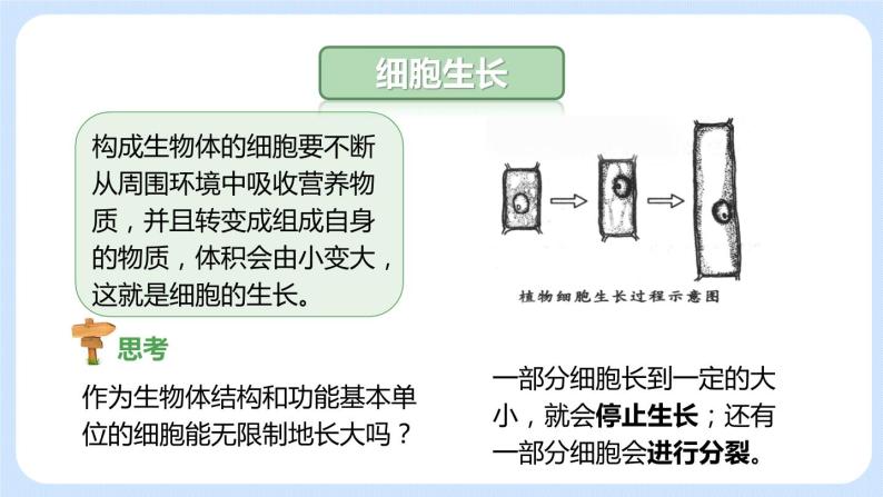 初中第一节 细胞通过分裂产生新细胞评优课课件ppt 教习网课件下载