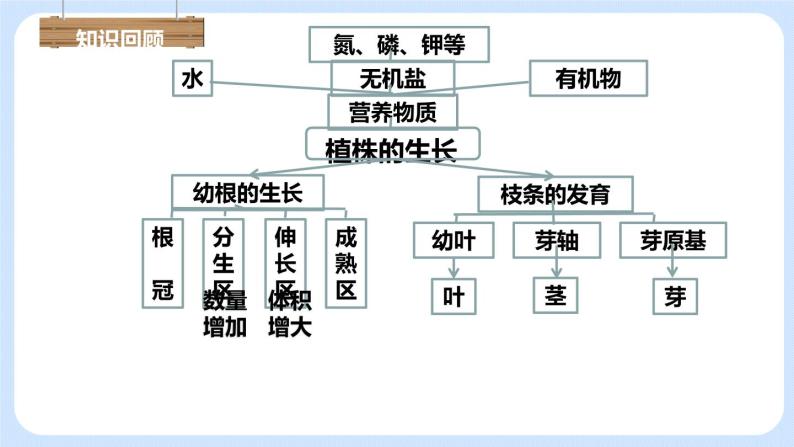初中生物第三节 开花和结果一等奖课件ppt 教习网课件下载