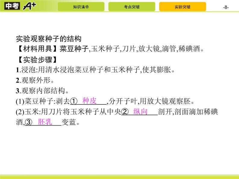 初中生物中考复习 第1讲 生物圈中有哪些绿色植物课件ppt 教习网课件下载