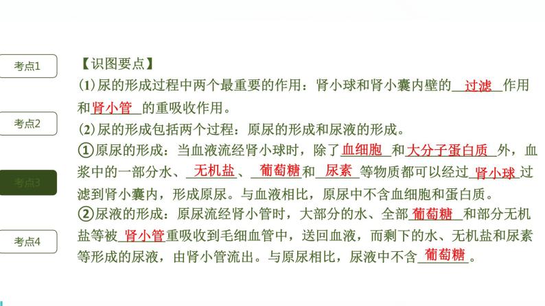 初中生物中考复习 第6讲 人体内废物的排出课件ppt 教习网课件下载