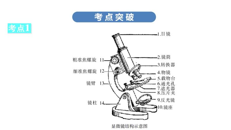 中考生物总复习第2部分 第2单元 第1章 细胞是生命活动的基本单位课件 教习网课件下载