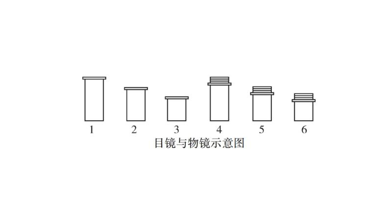 中考生物总复习第2部分 第2单元 第1章 细胞是生命活动的基本单位课件 教习网课件下载