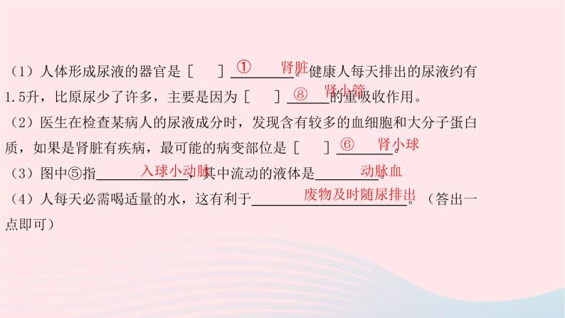 初中生物中考复习 中考生物总复习第二部分重点题型探究题型二识图题第六类人体课件 教习网课件下载