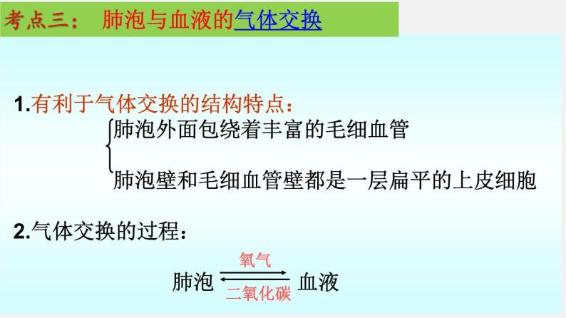 单元复习03 人体的呼吸【知识梳理】——2022 2023学年人教版生物七年级下册单元综合复习 教习网试卷下载