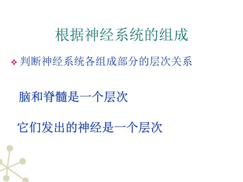 人教版 新课标七年级下册第二节 神经系统的组成背景图ppt课件 教习网课件下载